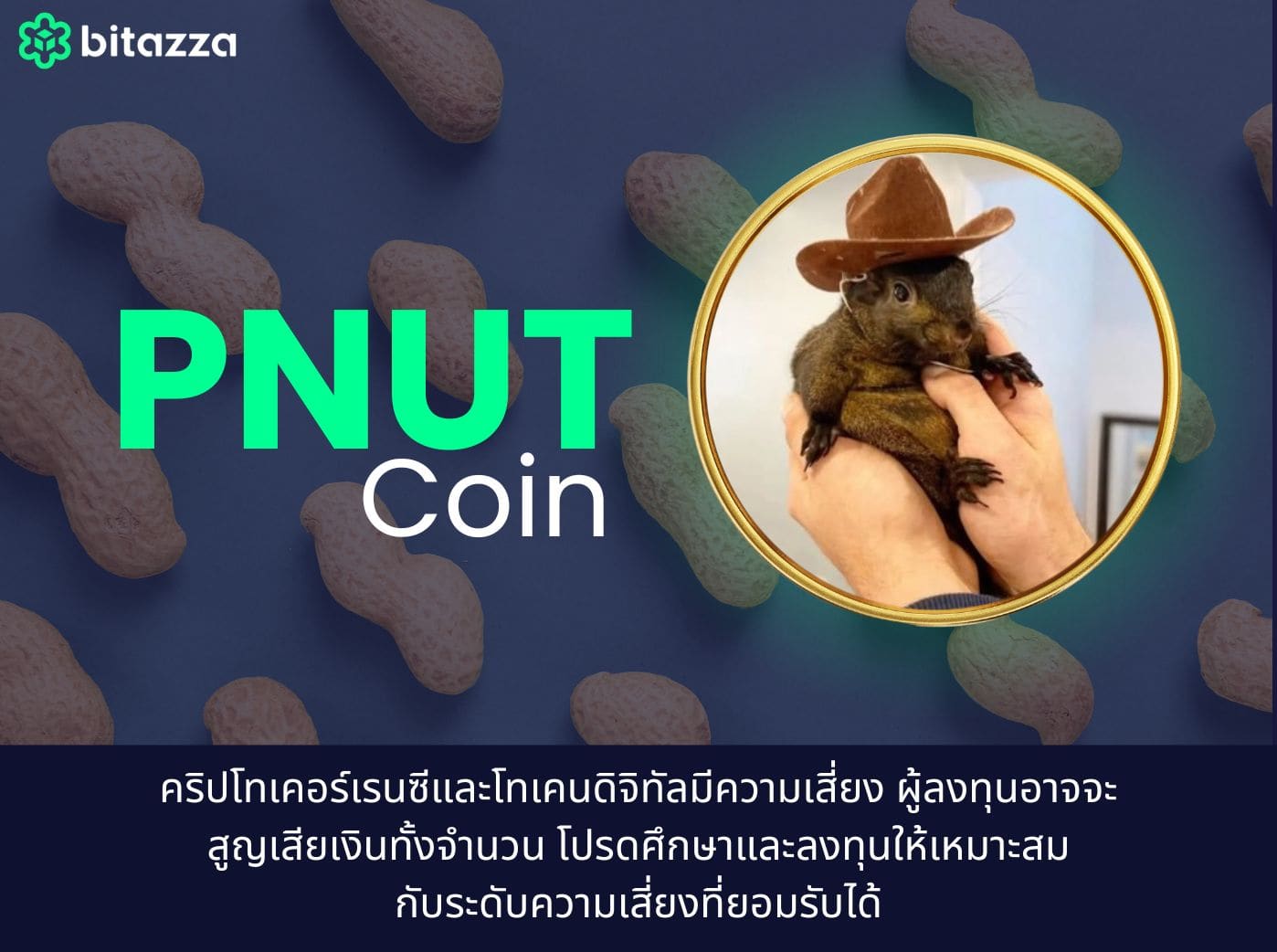 ส่อง PNUT Coin เหรียญมีมมาแรงบน Solana